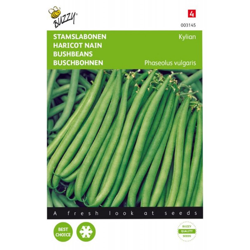 Kylian Fine Dwarf Green Bean - Common french bean • Tuinzaden.eu