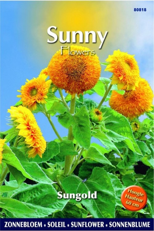 Sungold Sunflower Helianthus seeds - Seeds • Tuinzaden.eu