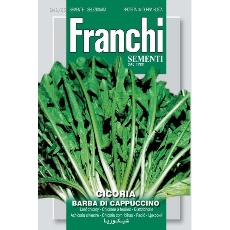 Barba di Cappuccino Chicory seeds - Franchi Sementi - Capuchin beard ...
