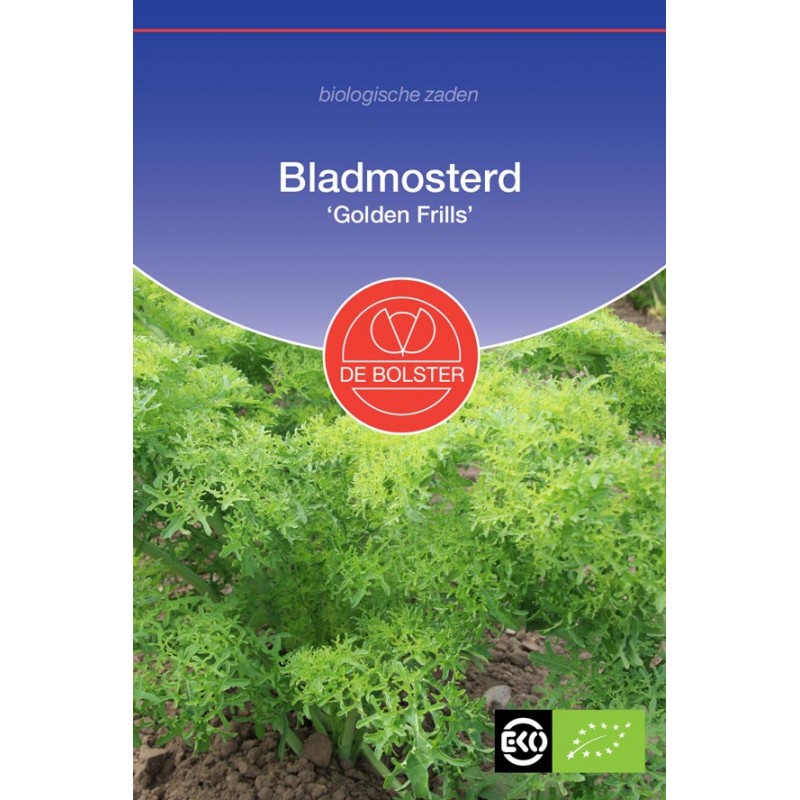 Golden Frills Leaf mustard organic seeds - Other • Tuinzaden.eu