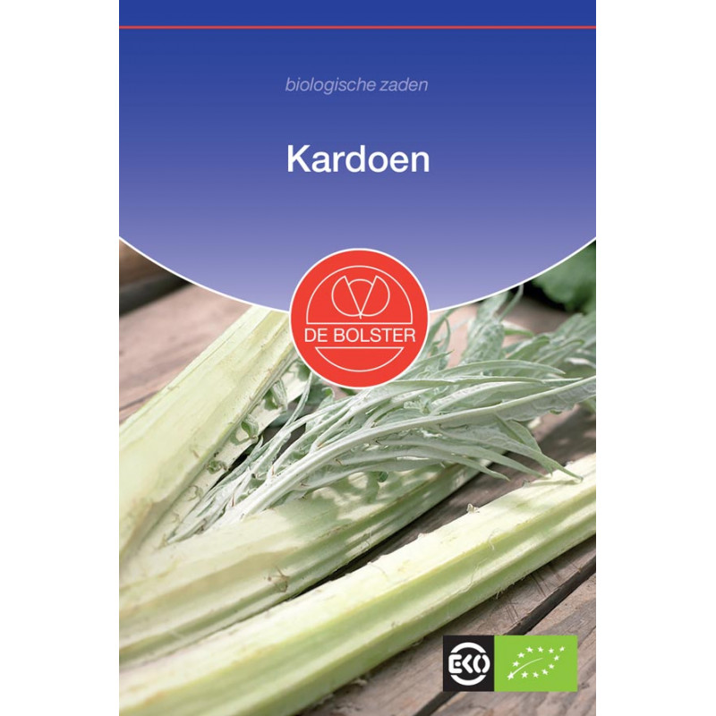 Kardoen organic seeds - Cardoon Other • Tuinzaden.eu