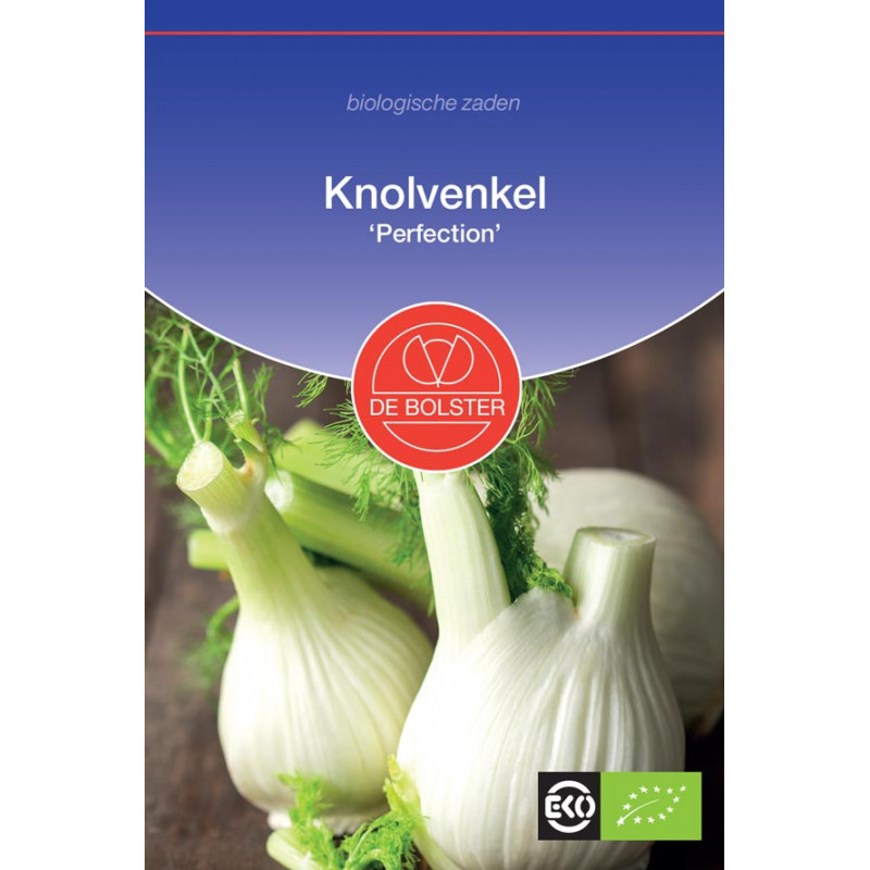 Perfection Finocchio fennel organic seeds - Other • Tuinzaden.eu