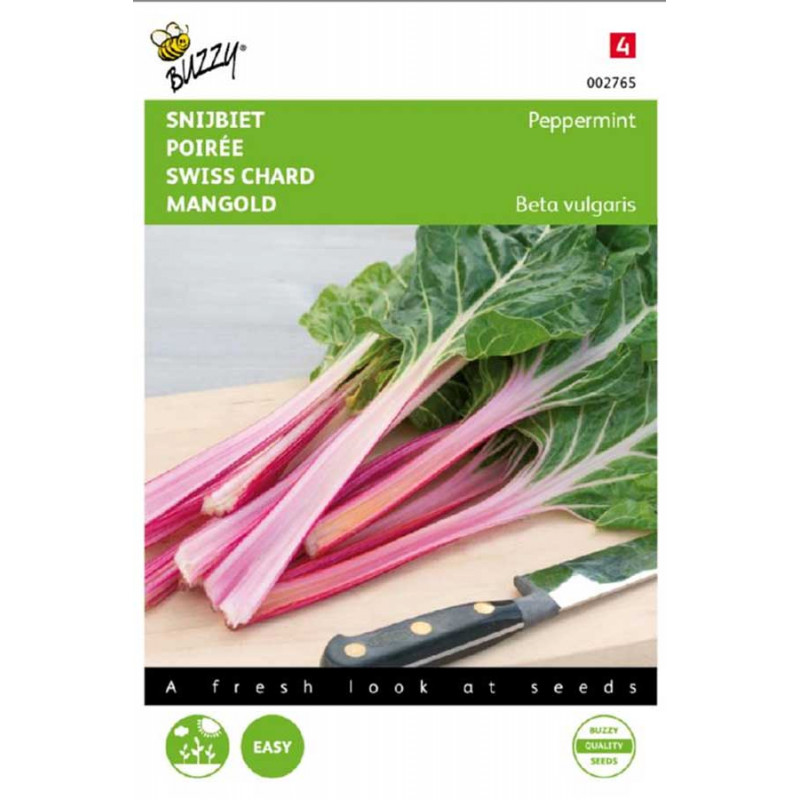 Peppermint Swiss Chard seeds - Vegetable seeds • Tuinzaden.eu
