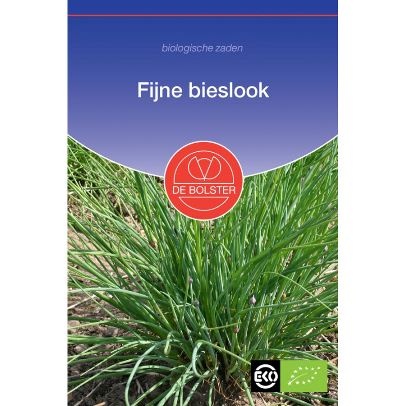 Fine chives Organic seeds - Chives Other • Tuinzaden.eu