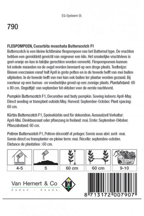 Butterscotch F1 Butternut Butternut Squash Seeds - Pumpkin • Tuinzaden.eu