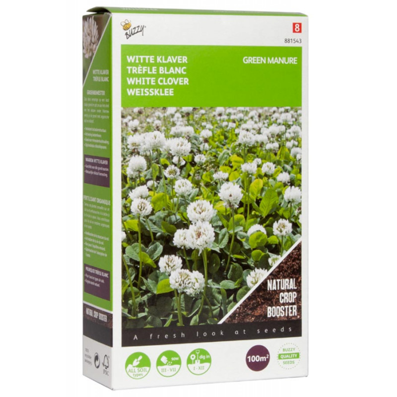 Micro Clover Seeds For Lawn Uk Pronto Seed White Clover Seeds 500g ...