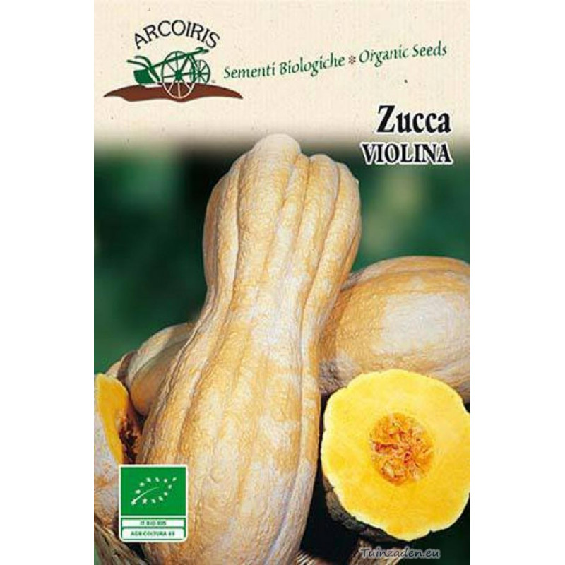 Vegetable seeds - Flower seeds - Organic seeds