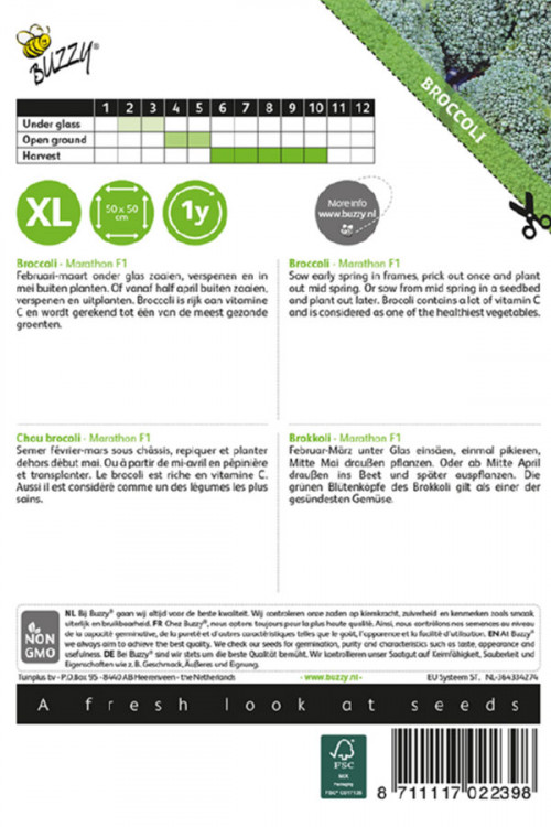 Marathon F1 hybride broccoli seeds - Broccoli Calabrese • Tuinzaden.eu