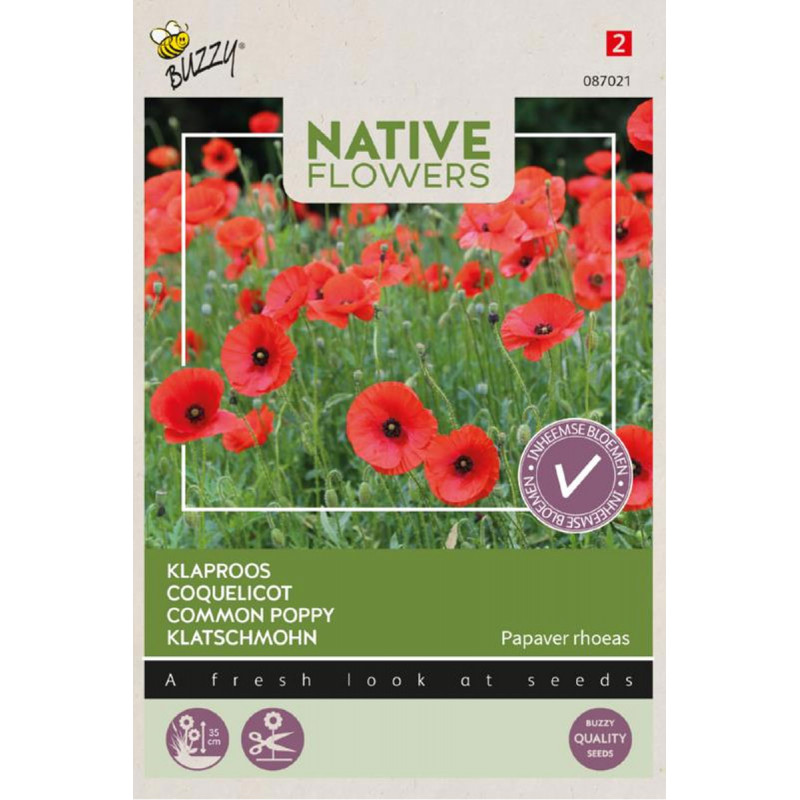 Native flowers Common Poppy seeds - Papaver Seeds • Tuinzaden.eu