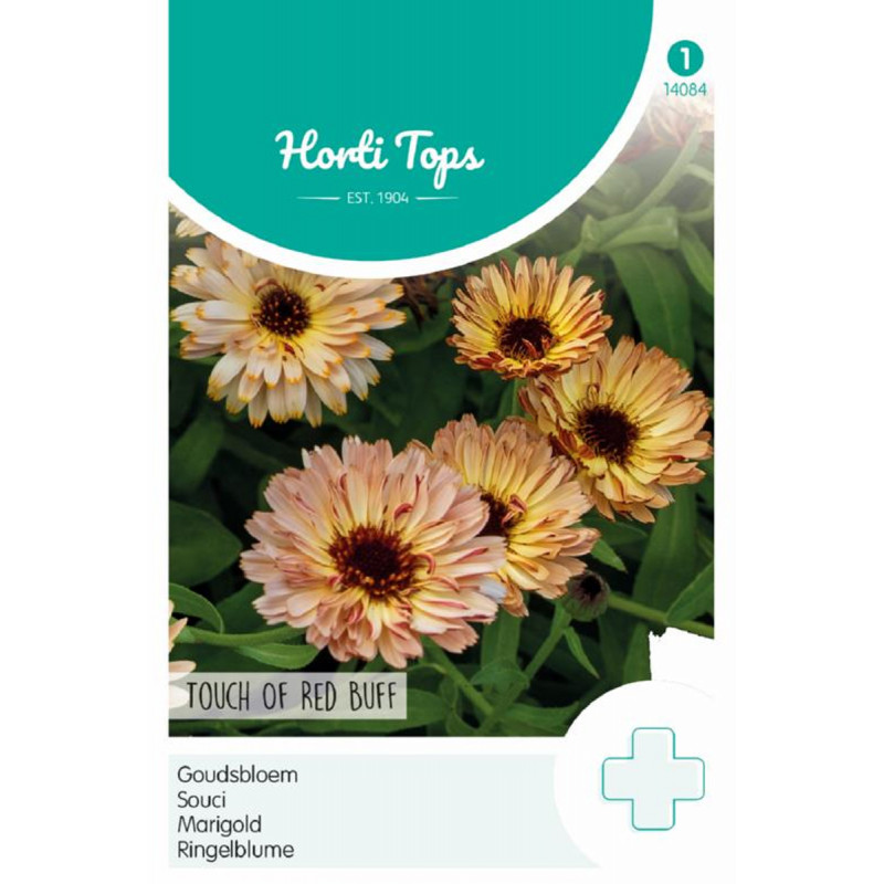 Touch Of Red Buff Calendula seeds - Marigold Seeds • Tuinzaden.eu