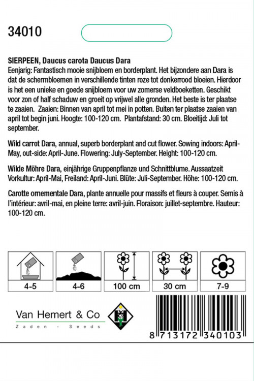 Dara Wild carrot Duacus seeds - Carrot Daucus Seeds • Tuinzaden.eu