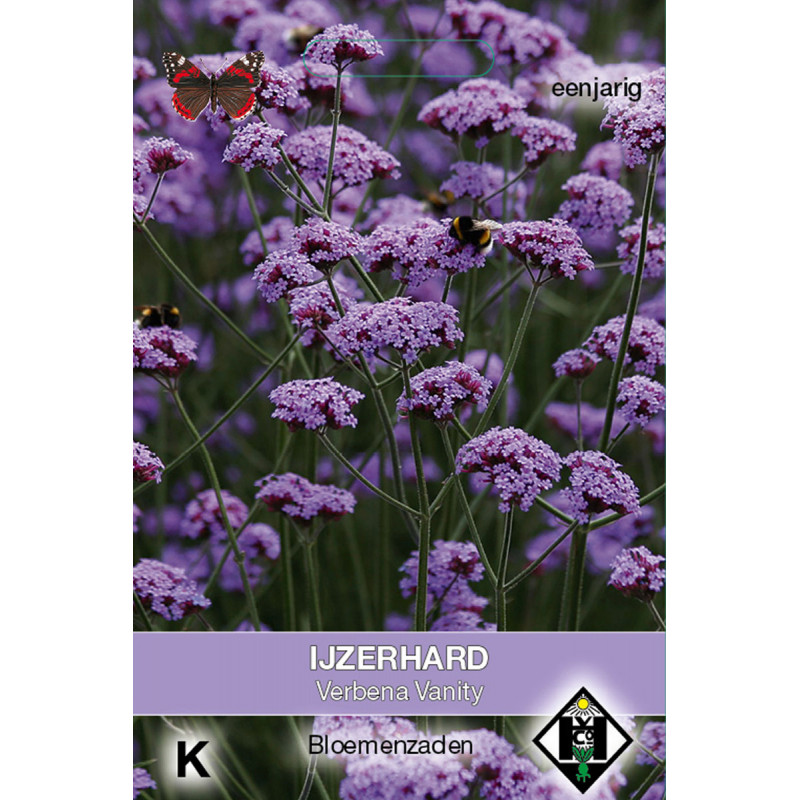 Vanity Verbena bonariensis IJzerhard zaden - Zaden kopen? Tuinzaden.eu