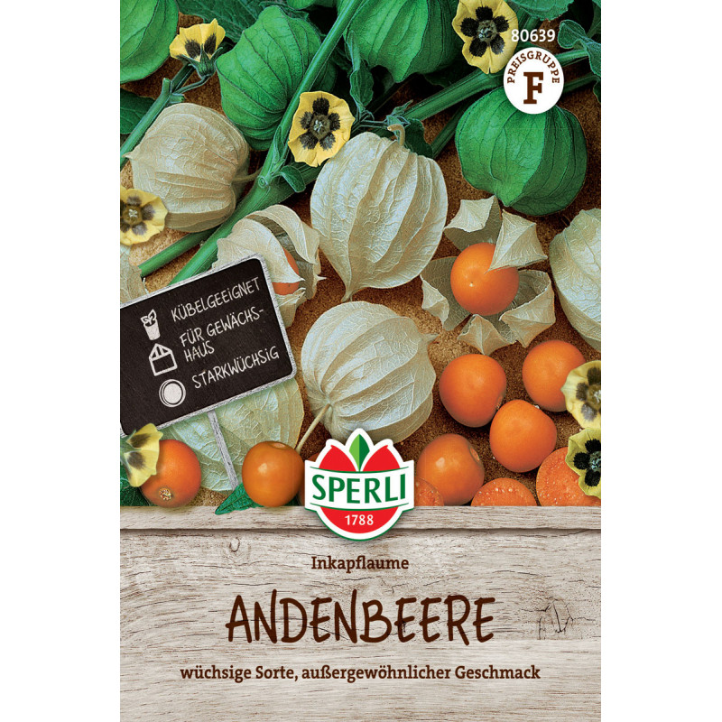 Small Cape Gooserberry seeds - Gooseberry Seeds • Tuinzaden.eu