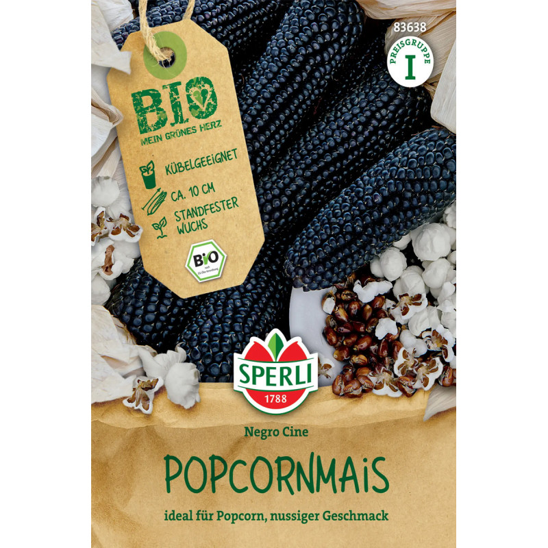 Black Negro Cine popcorn corn BIO seeds - Corn Other • Tuinzaden.eu