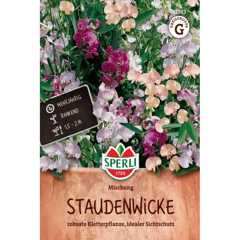 Staudenwicke climbing sweet peas lathyrus seeds - Sweet Peas Lathyrus ...