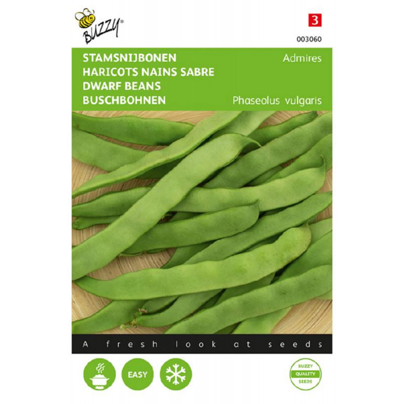 Admires Dwarf String Bean Seeds - Beans • Tuinzaden.eu