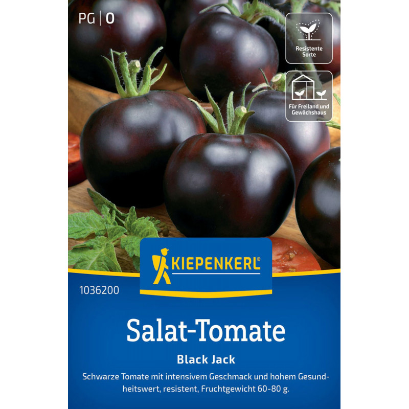 Black Jack F1 Salad tomato seeds - Tomato Seeds • Tuinzaden.eu