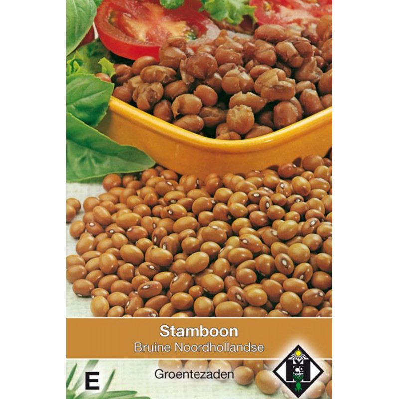 Stanley green dwarf beans - Common french Seeds • Tuinzaden.eu