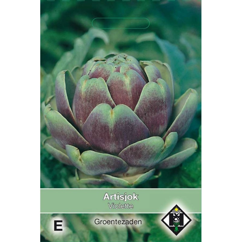 Breedbladige Zuring - Veldzuring zaden - Zaden kopen? Tuinzaden.eu