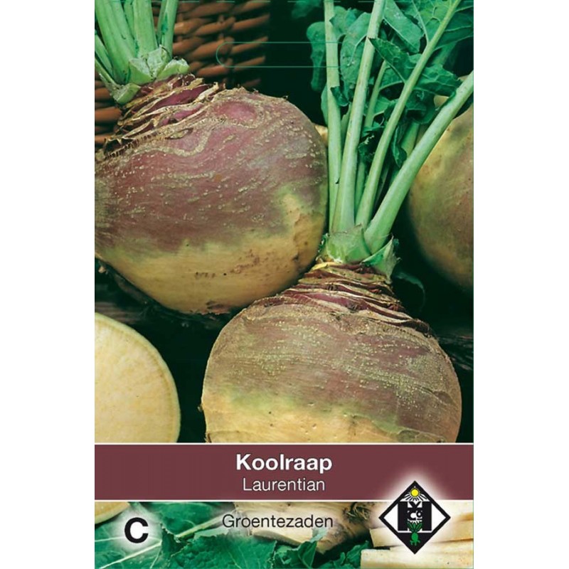 Breedbladige Zuring - Veldzuring zaden - Zaden kopen? Tuinzaden.eu