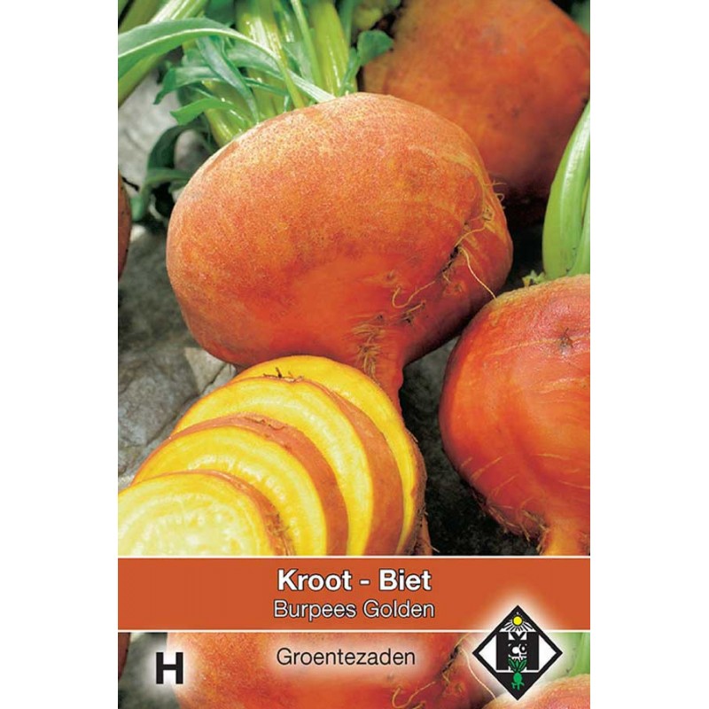 Burpees Golden - Beetroot - Seeds • Tuinzaden.eu
