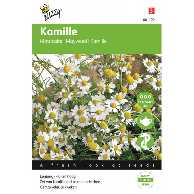 Kruidje-roer-me-niet - Mimosa zaden - Zaden kopen? Tuinzaden.eu