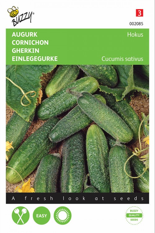 Hokus Gherkin seeds - Seeds • Tuinzaden.eu