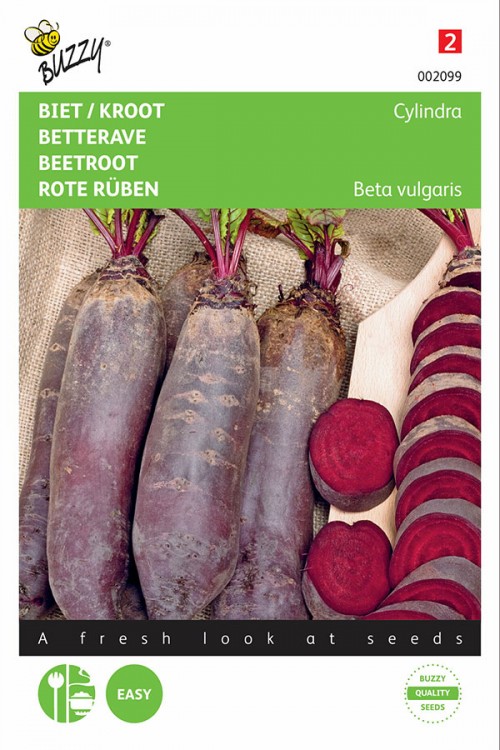 Cylindra Beetroot seeds - Seeds • Tuinzaden.eu