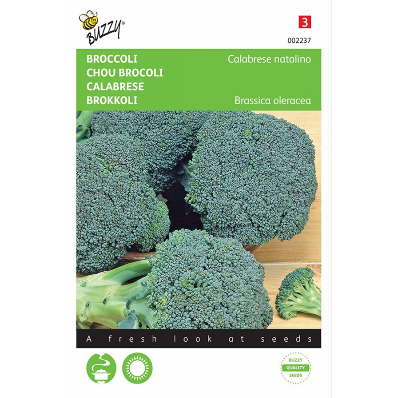 Calabria Broccoli seeds - Calabrese Seeds • Tuinzaden.eu