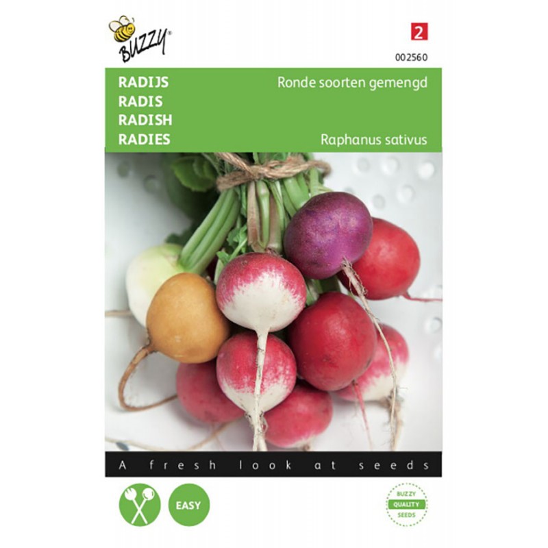 Mixed colours of round radish seeds - Radish Seeds • Tuinzaden.eu