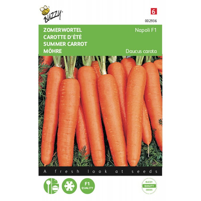 Napoli F1 - Carrots Seeds • Tuinzaden.eu
