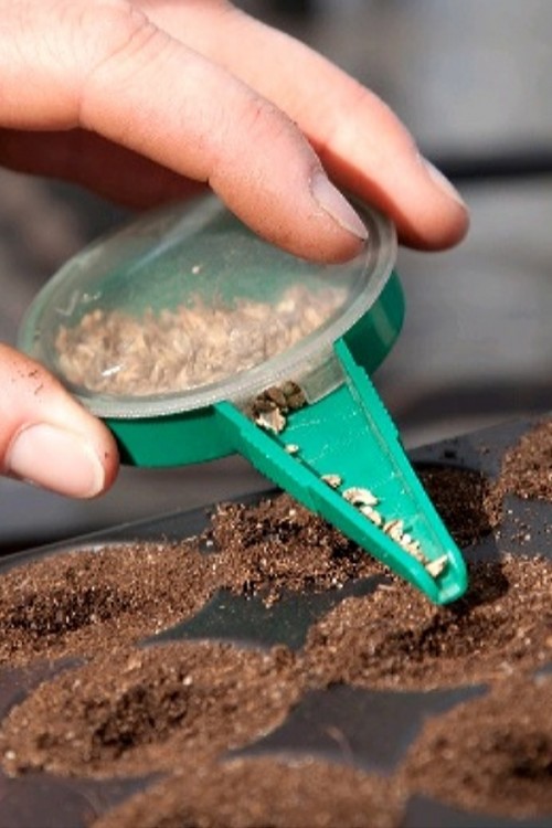 Seed dispenser Ø6cm - Seeds spreaders Sow Grow • Tuinzaden.eu