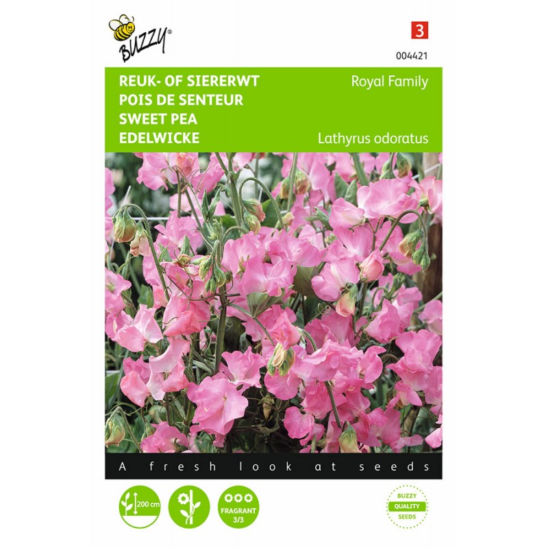 Royal Family mixed Sweet pea Lathyrus seeds - Peas • Tuinzaden.eu