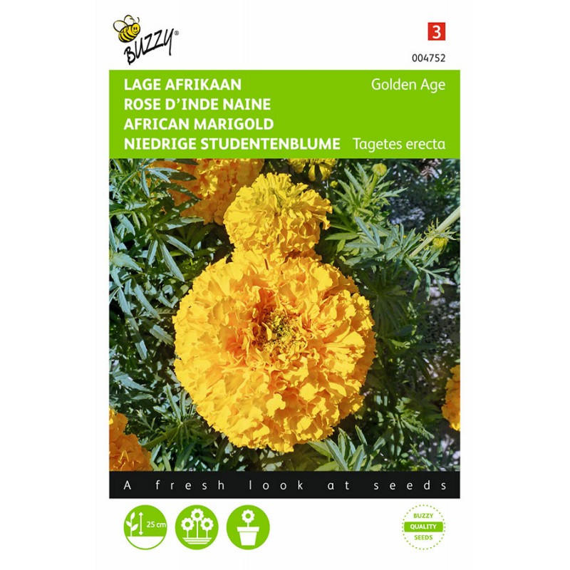 Marietta African Marigold - Tagetes seeds - Seeds • Tuinzaden.eu