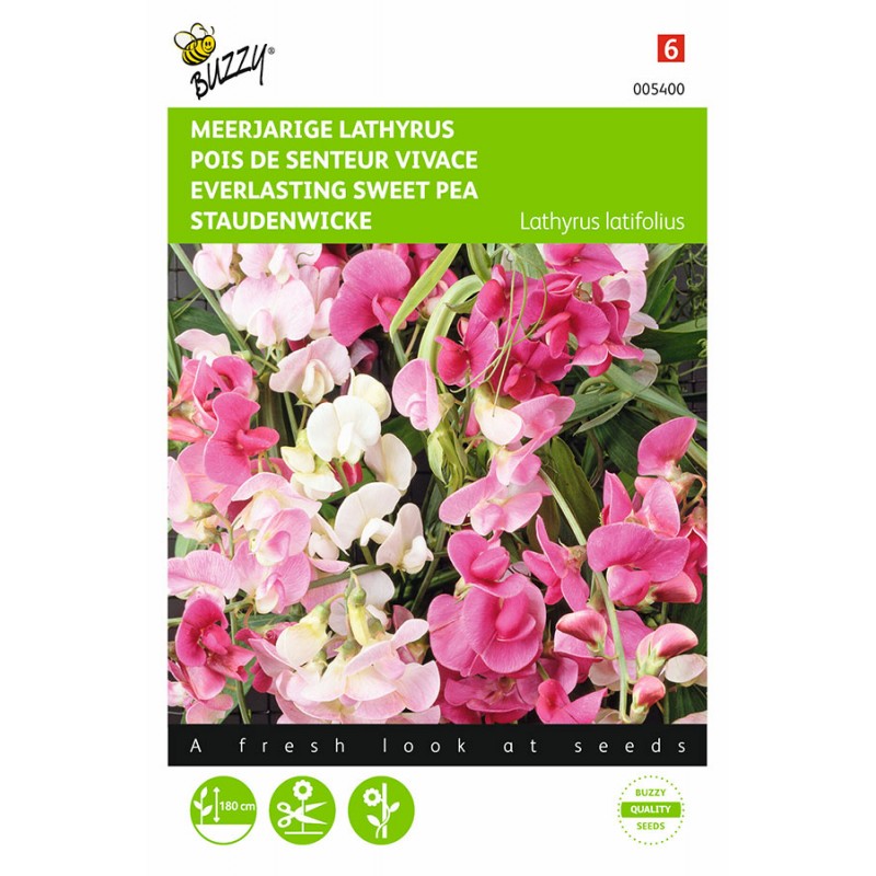 Royal Family mixed Sweet pea Lathyrus seeds - Peas • Tuinzaden.eu