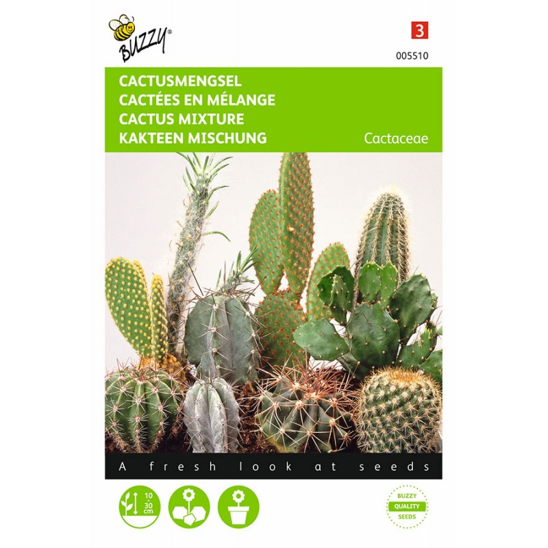 Cacti mix - Cactus seeds - Seeds • Tuinzaden.eu