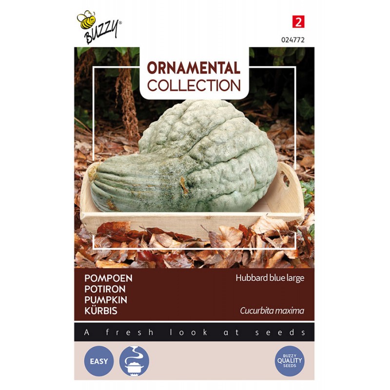 Large blue Hubbard giant pumpkin seeds - Pumpkin Squash • Tuinzaden.eu