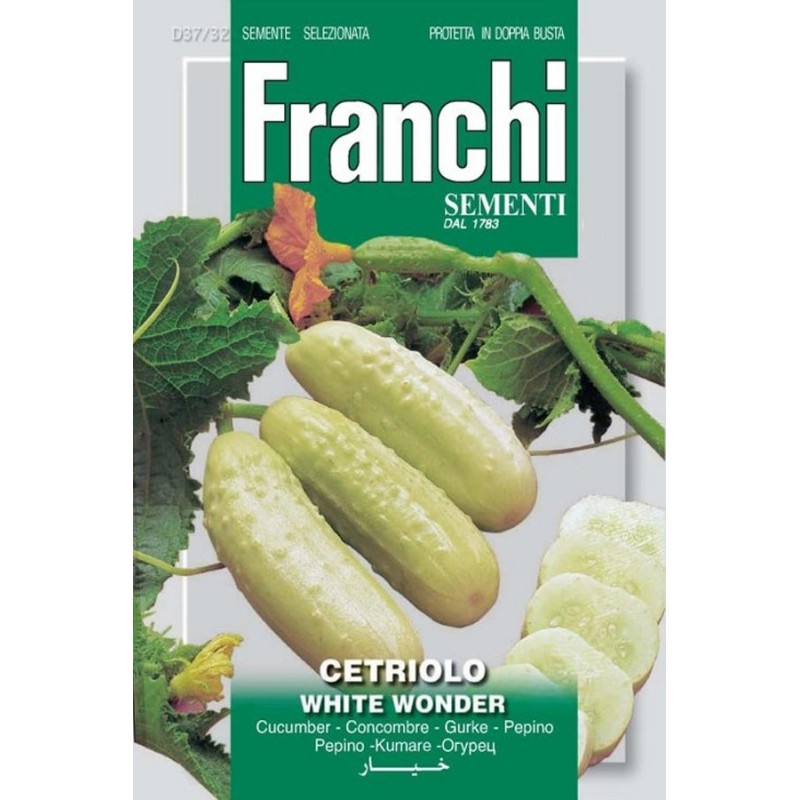 White Wonder - Cucumber - Seeds • Tuinzaden.eu