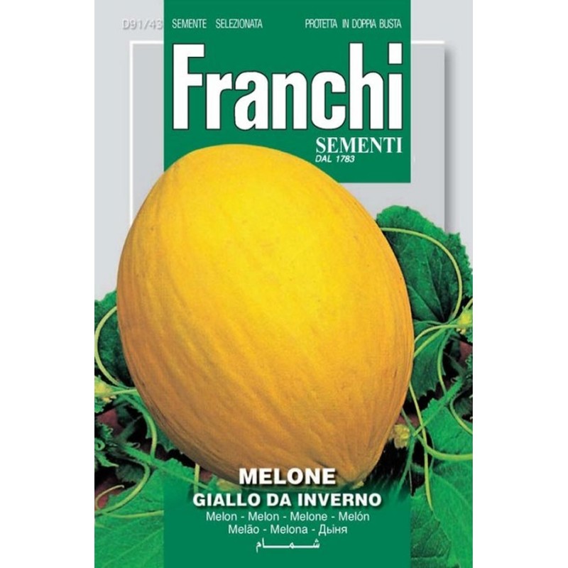 Giallo Da Inverno - Honingmeloen - Meloen Watermeloen kopen? Tuinzaden.eu