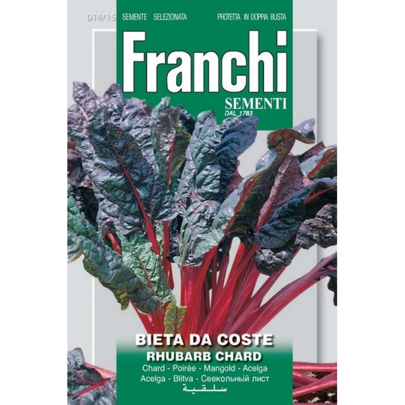 Bieta da Coste - Swiss Chard - Seeds • Tuinzaden.eu