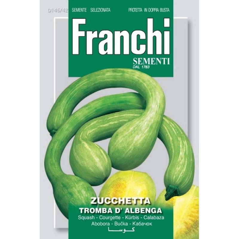 Spaghetti pompoen zaden - Pompoen Kalebas Zaden kopen? Tuinzaden.eu