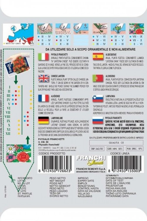 Bladder Cherry - Physalis seeds - Chinese Lantern • Tuinzaden.eu