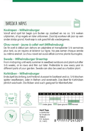 Wilhelmsburger, type Friese - Koolraap zaden - Koolrapen kopen ...