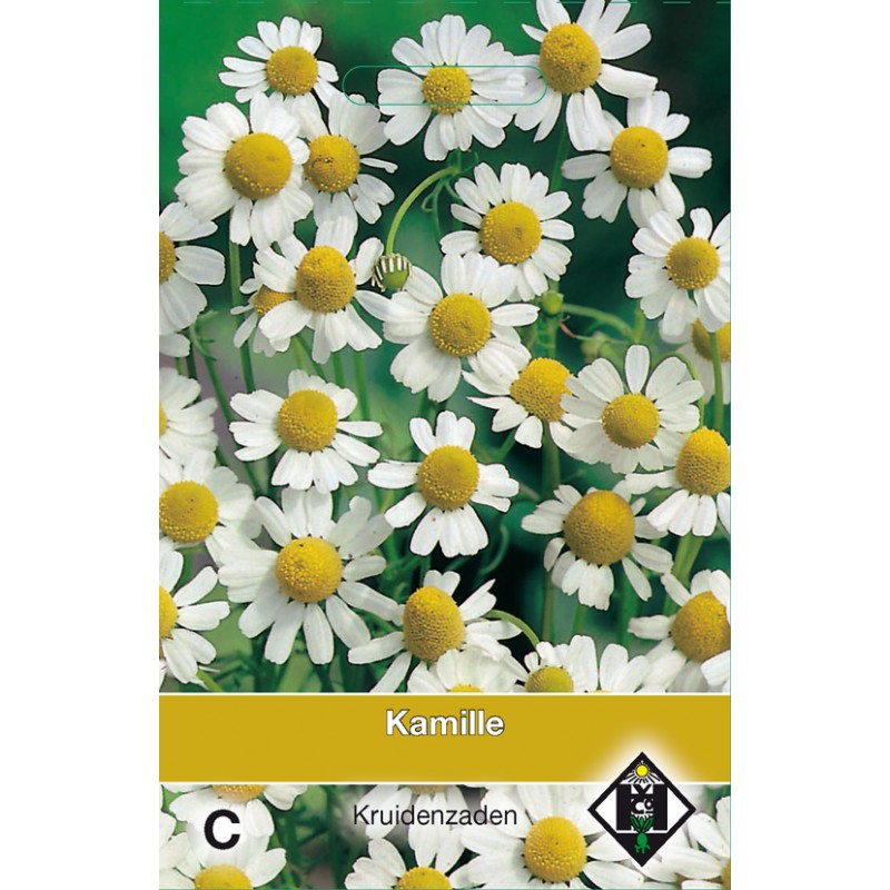 Chamomile seeds - Mayweed Seeds • Tuinzaden.eu