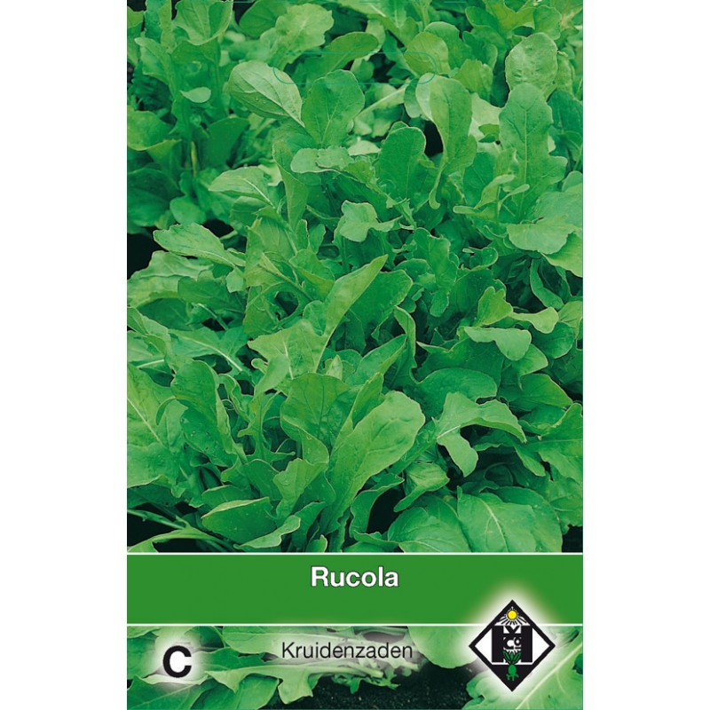 Eruca sativa Rocket seeds - Seeds • Tuinzaden.eu