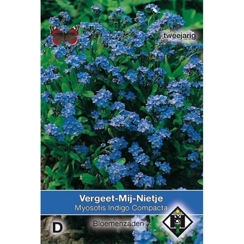 Indigo Compacta Forget-me-not Myosotis seeds - Forgetmenot • Tuinzaden.eu