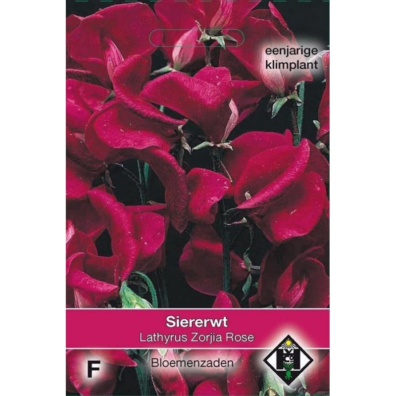 Capri Lathyrus - Sweet Pea seeds - Peas Seeds • Tuinzaden.eu