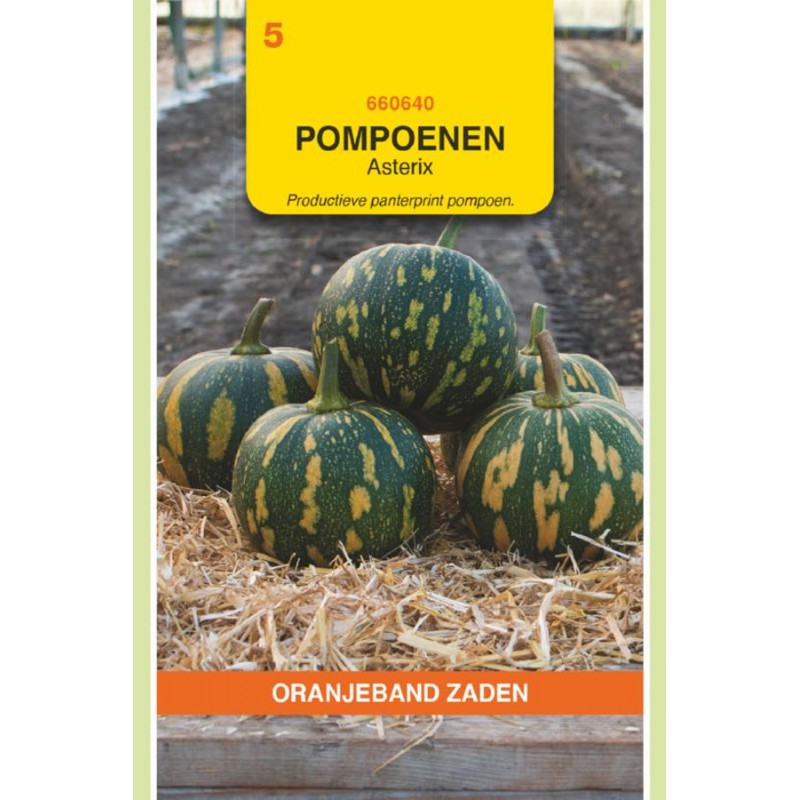 Asterix Pompoen zaden - Kalebas Zaden kopen? Tuinzaden.eu